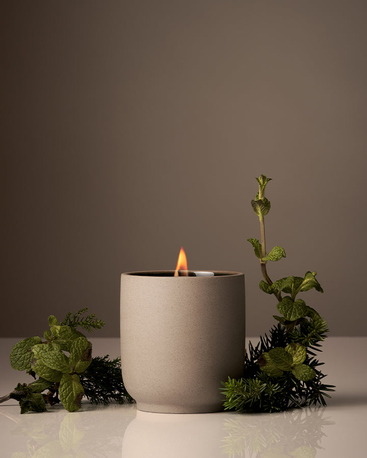 HOMECOURT Candle | Maison Rogue