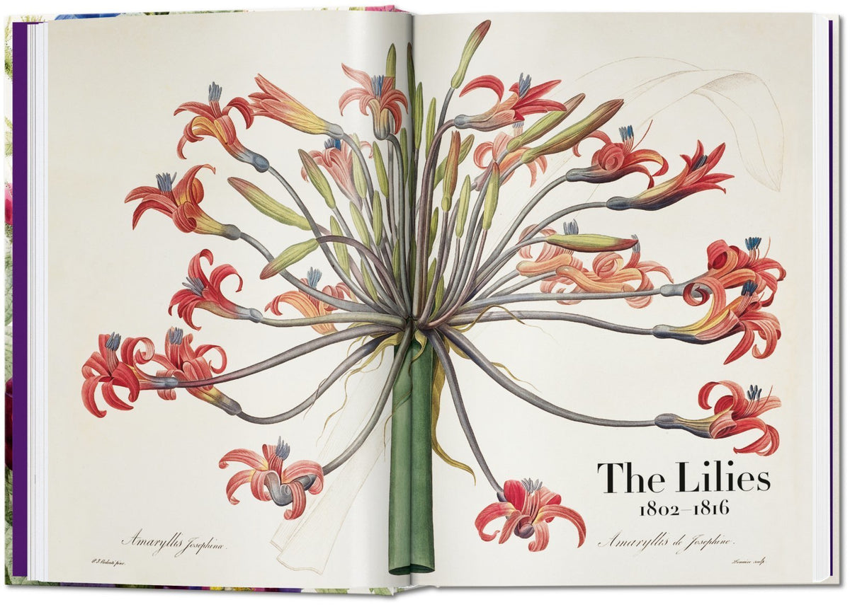 Taschen Redouté: Book of Flowers, 40th Anniversary | Maison Rogue